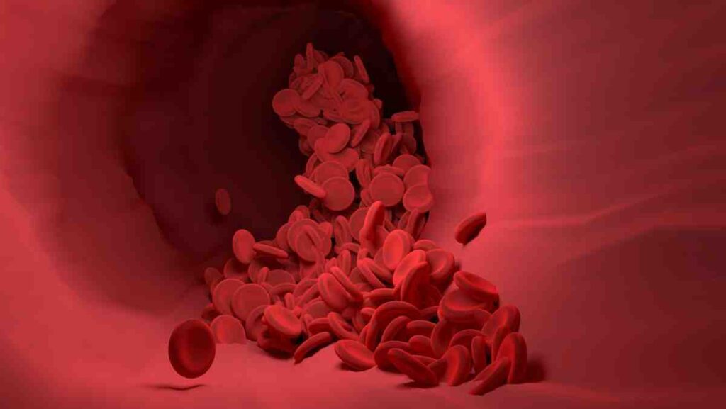 vector8diy-red-blood-cells-4256710 | Bike News Mag